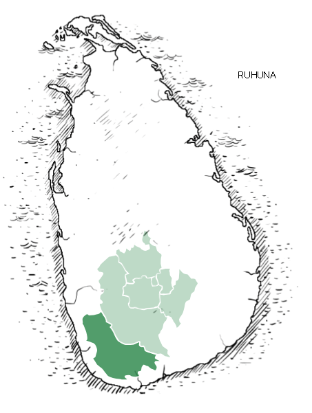 ルフナ – RUHUNA – スリランカ - Sein co., ltd.